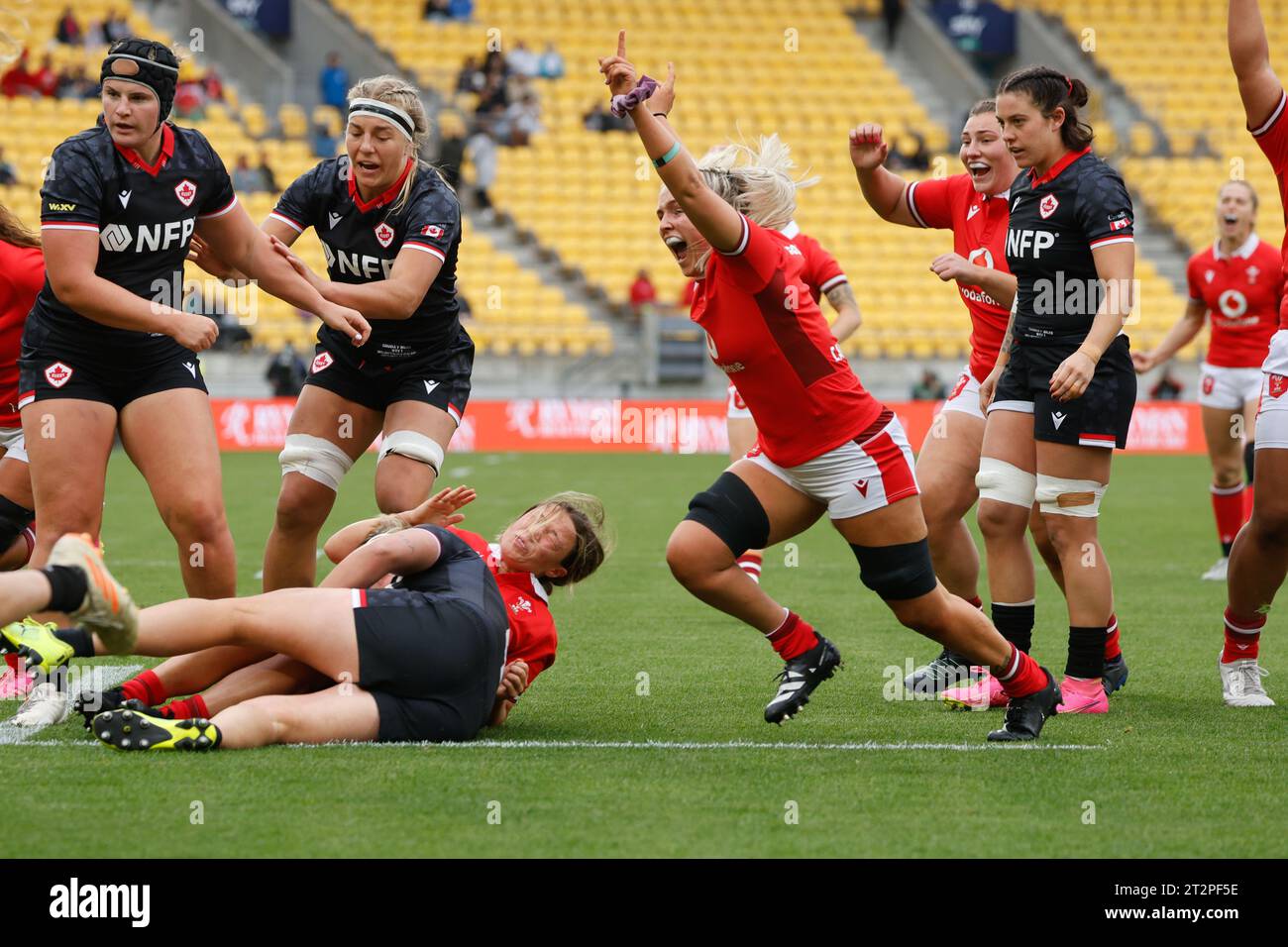 Wxv rugby final hi-res stock photography and images - Alamy