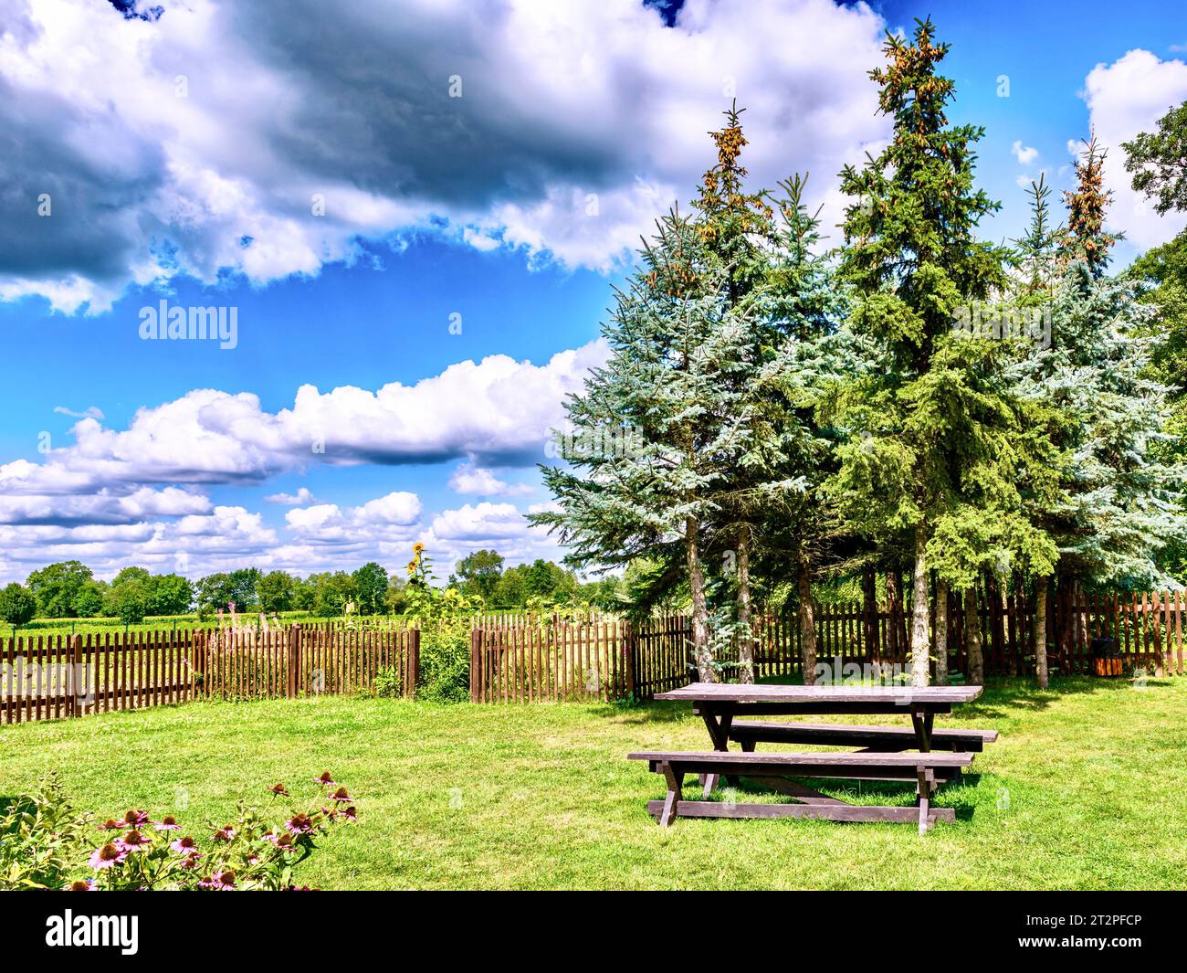 Wooden bench in the backyard of a country house with a beautiful sky ...