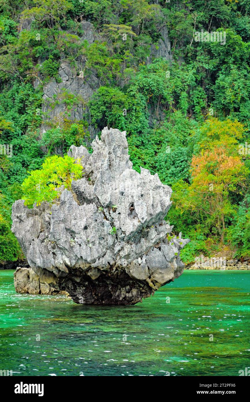 The nature of the Coron Bay, Busuanga province, Philippines Stock Photo ...