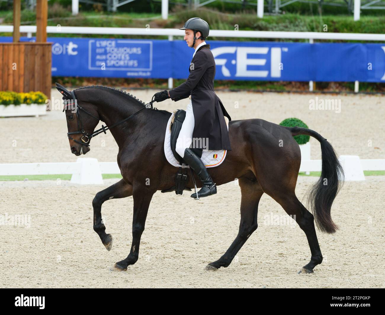 Jasper PEETERS of Belgium with Rex Magnus during the dressage test at ...