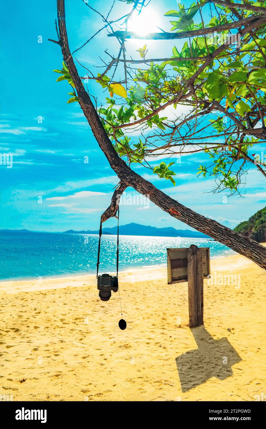 The camera is hanging on a tree branch on the beach in Coron Bay. The ...