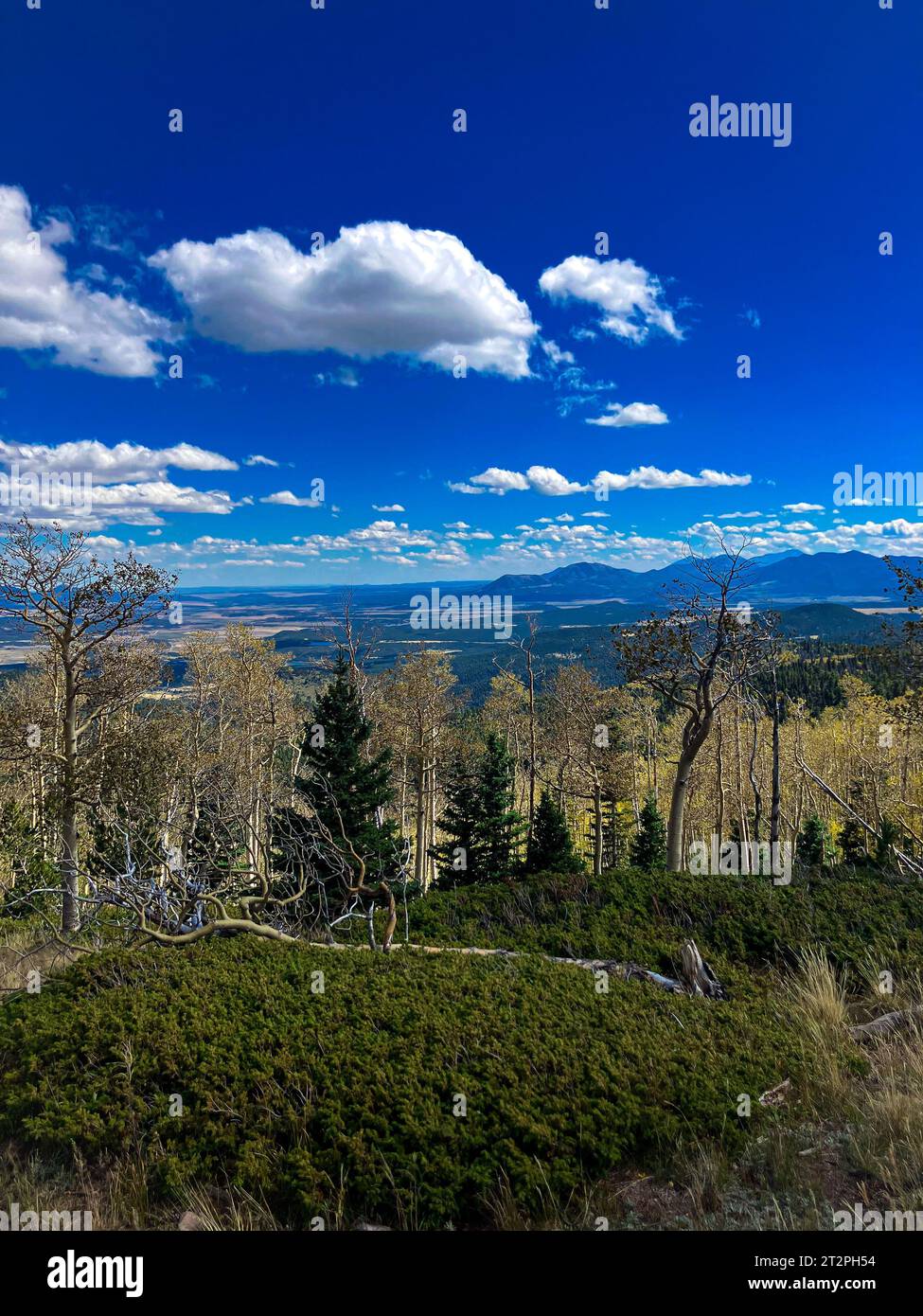 A breathtaking view of a hill surrounded by lush greenery and majestic ...