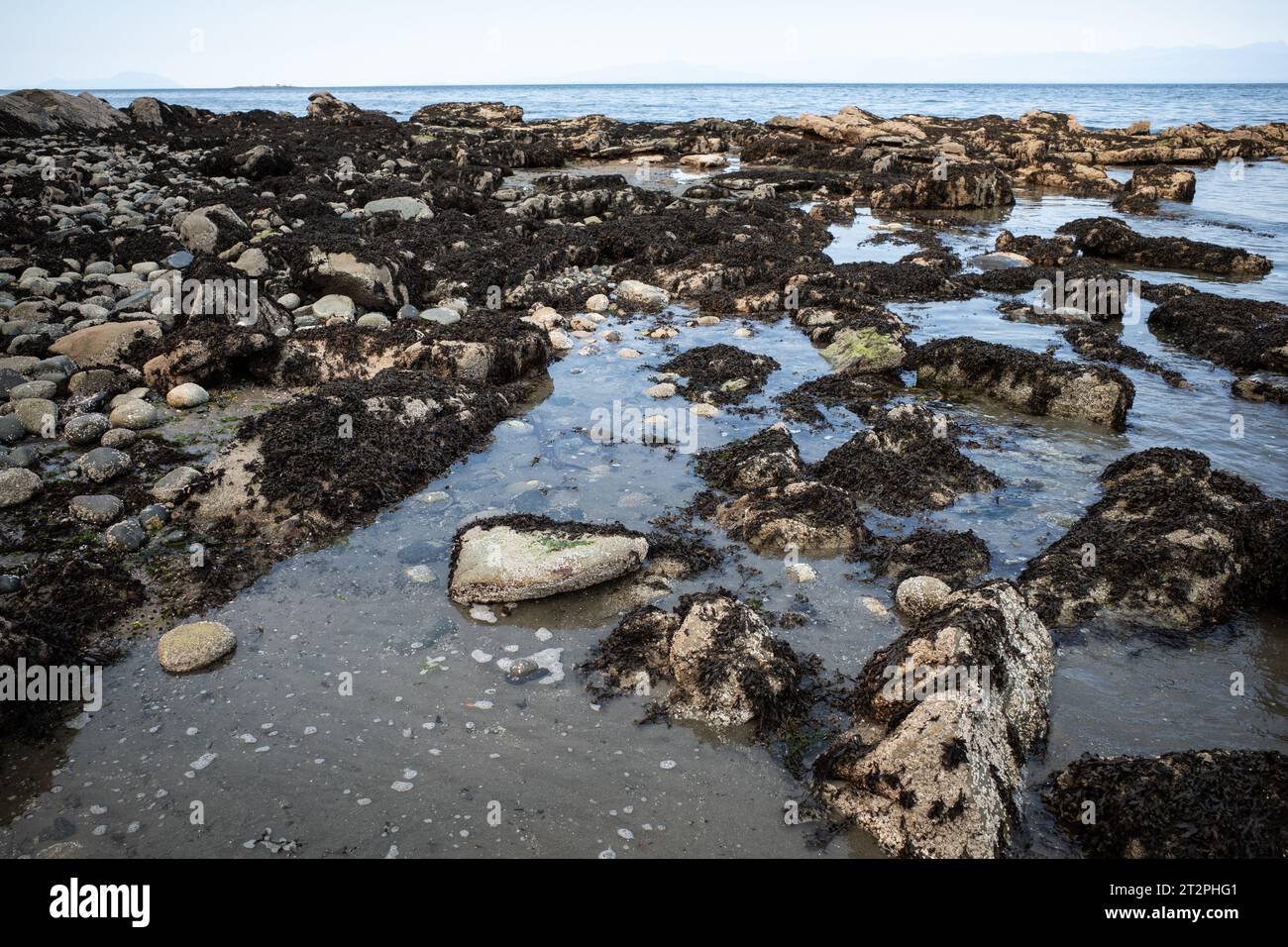 rocky tidal beach on Gabriola Island, Vancouver Island, BC, Canada ...