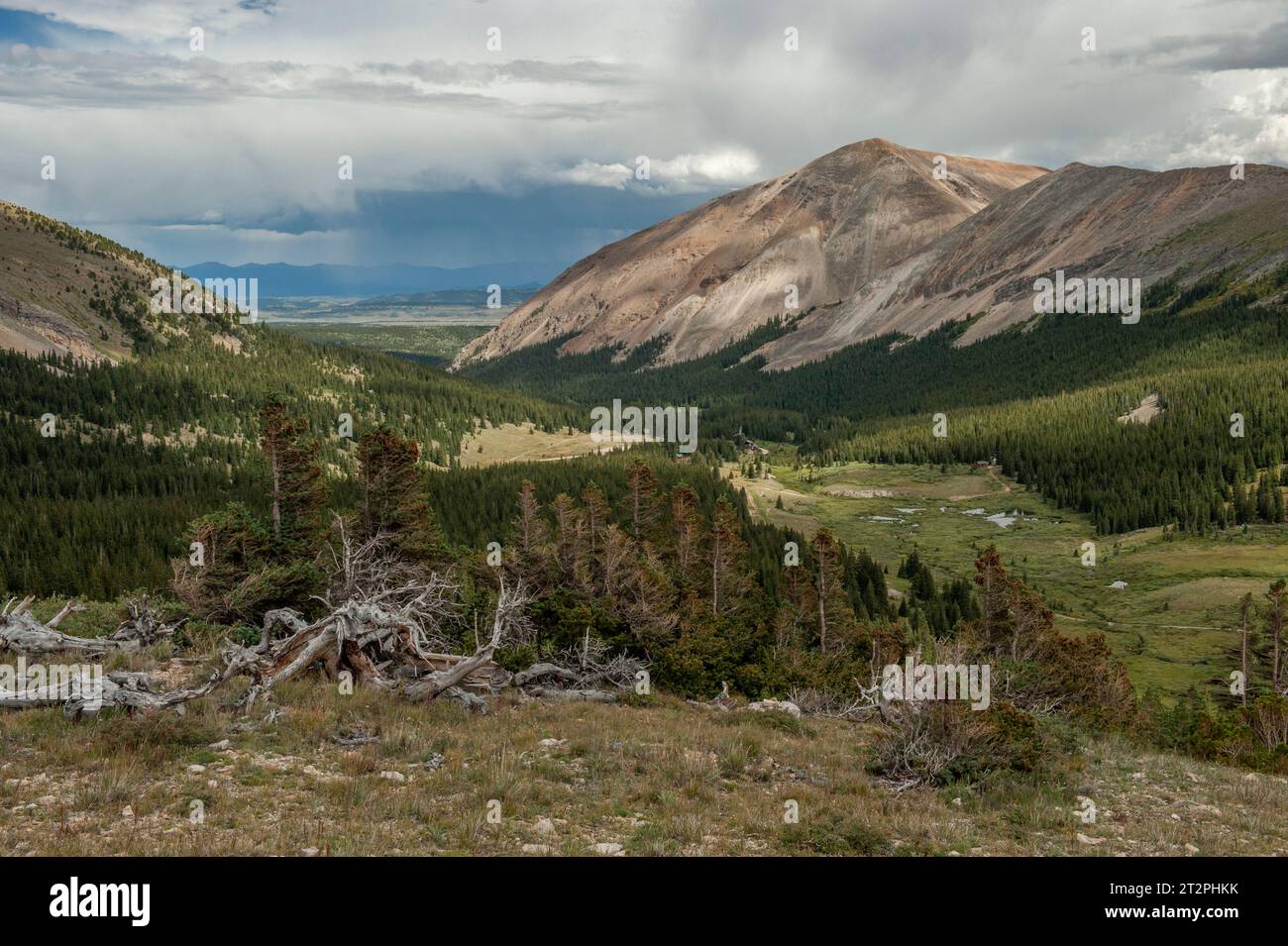 The view downcanyon from timberline (about 12,000 ft above sea level ...