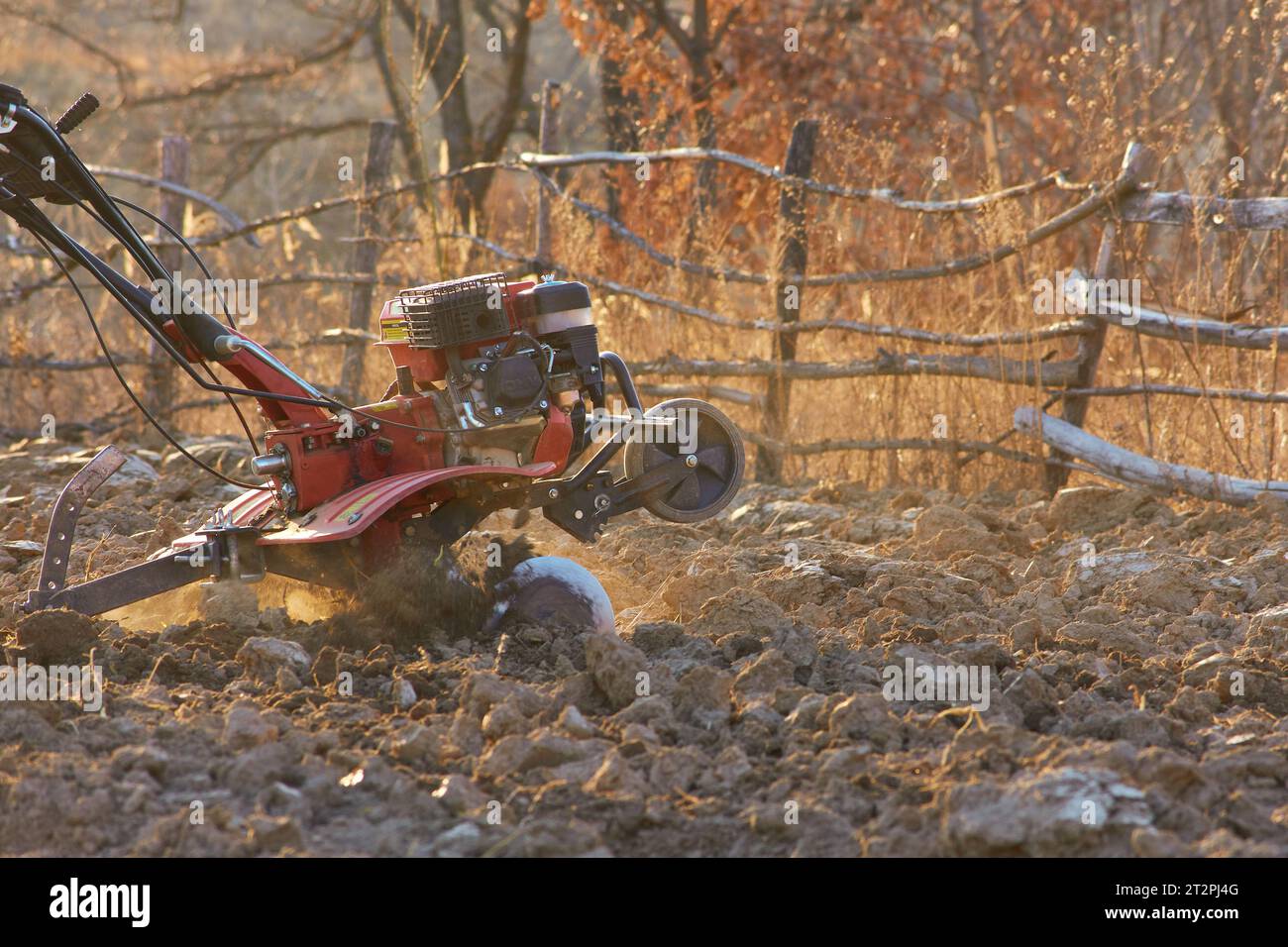 motor cultivator that digs the ground for growing vegetables Stock ...