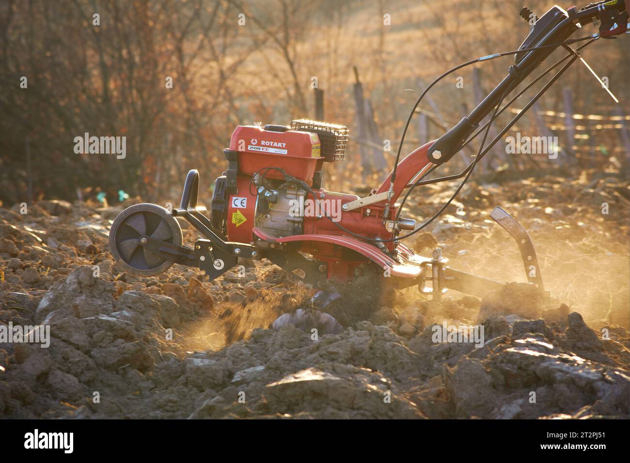 motor cultivator that digs the ground for growing vegetables Stock ...