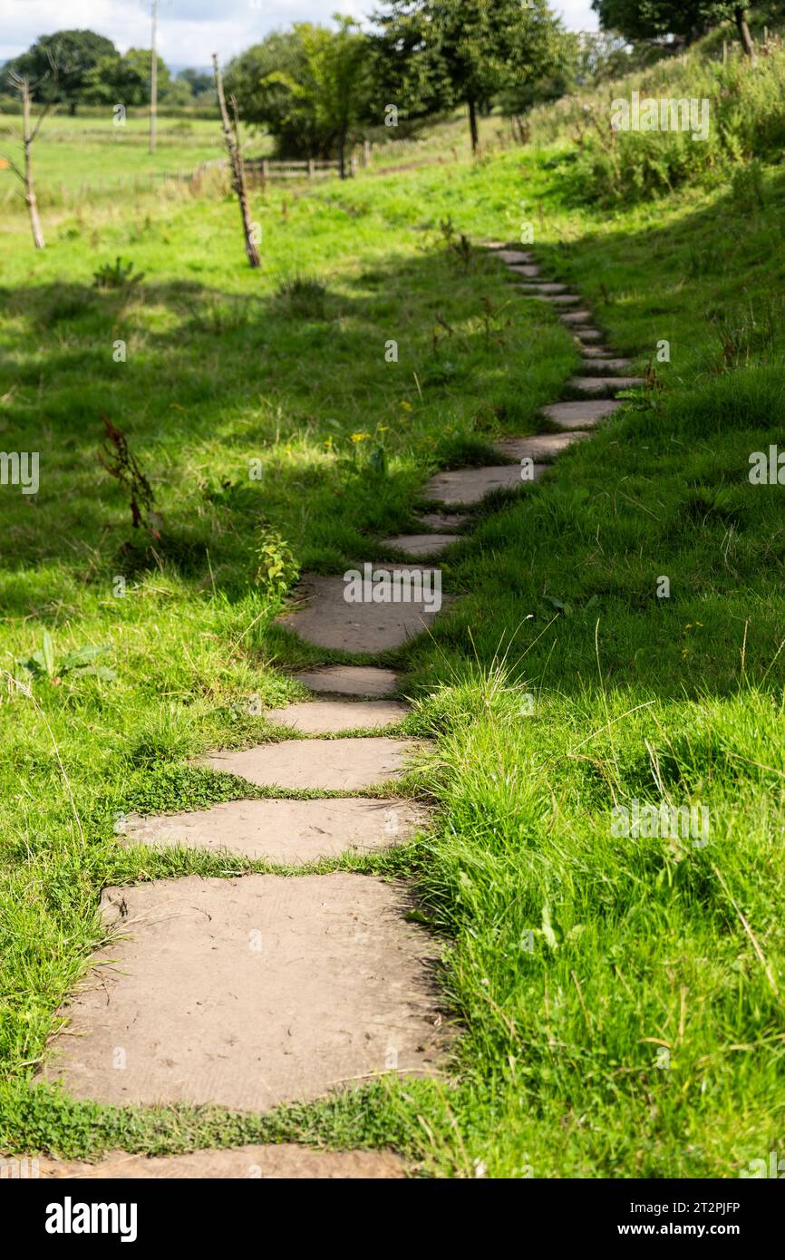 stone path leading the way, part of Hadrian's Wall Path near Carlisle ...