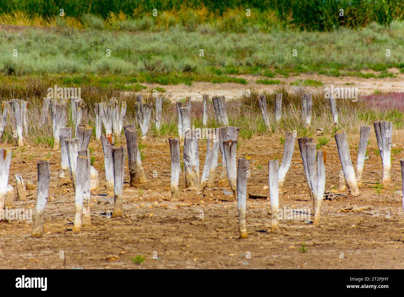 Ground breaker hi-res stock photography and images - Alamy