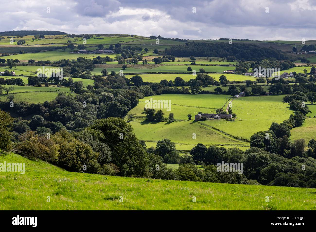 looking across pastures and farms on hill and dale in Cumbria, near ...
