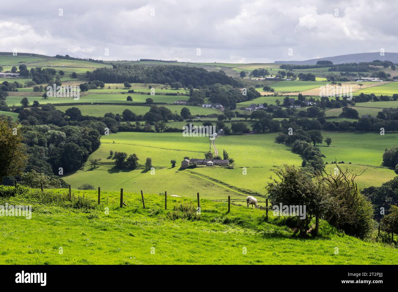 looking across pastures and farms on hill and dale in Cumbria, near ...