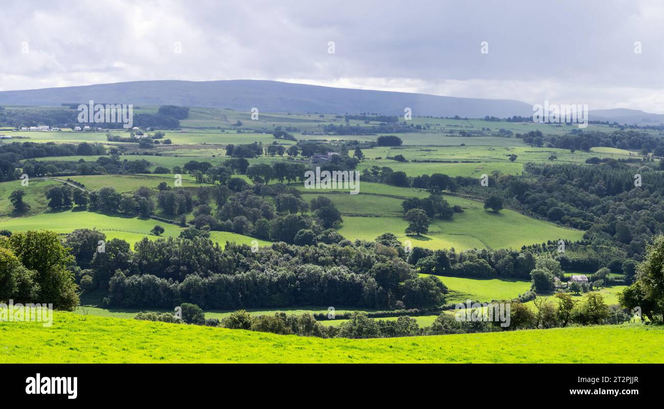 looking across pastures and farms on hill and dale in Cumbria, near ...