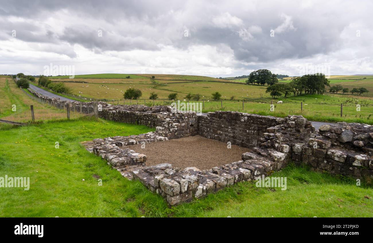 a ruined defensive turret (Turret 49b) on Hadrian's Wall, near ...