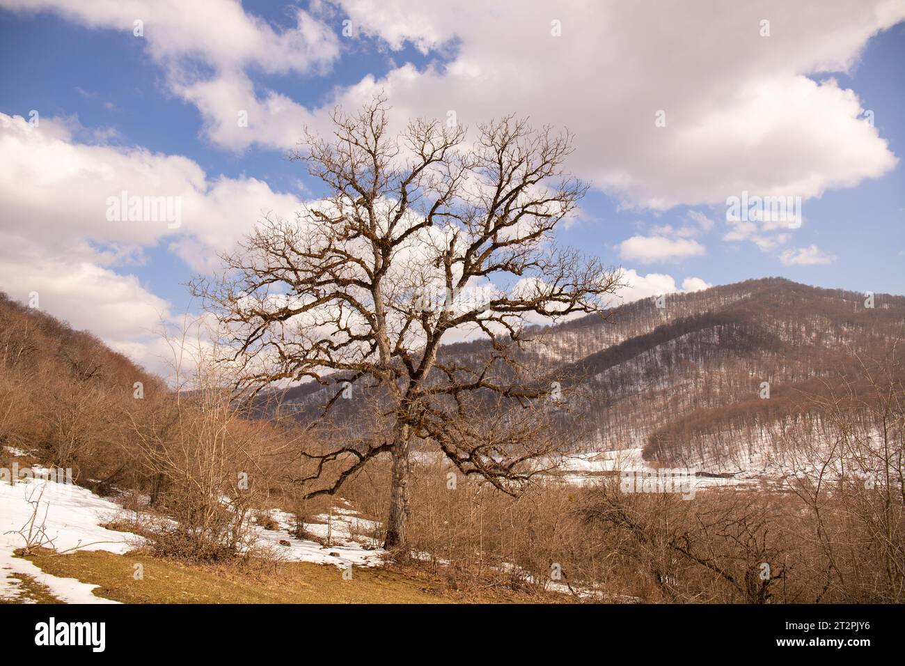 Magnificent beautiful stunning view hi-res stock photography and images ...