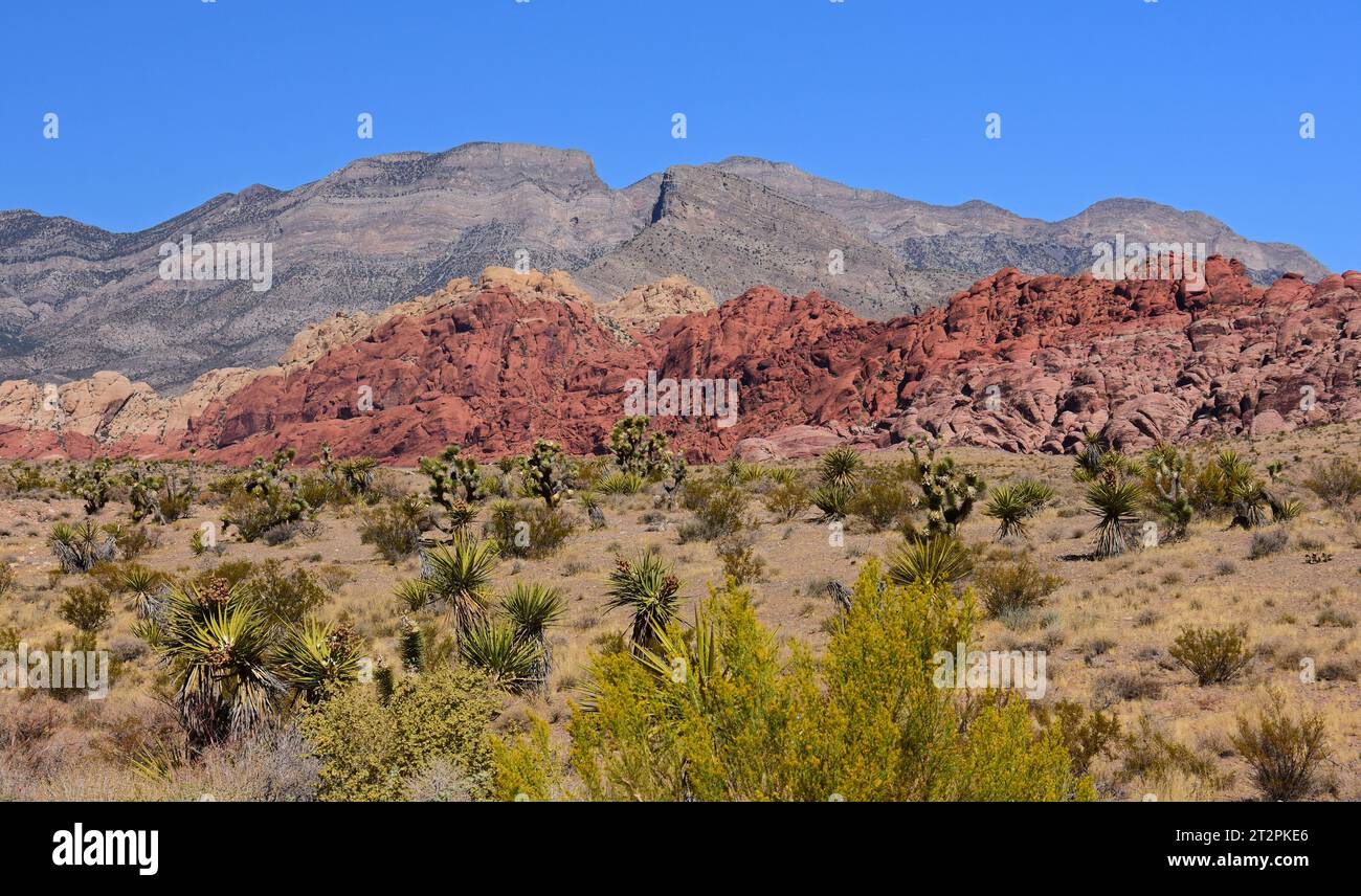the colorful, eroded rocks of red rock national conservation area and ...