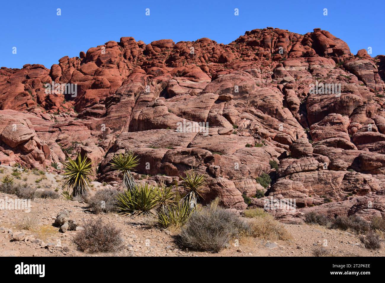 the colorful, eroded rocks of red rock national conservation area and ...