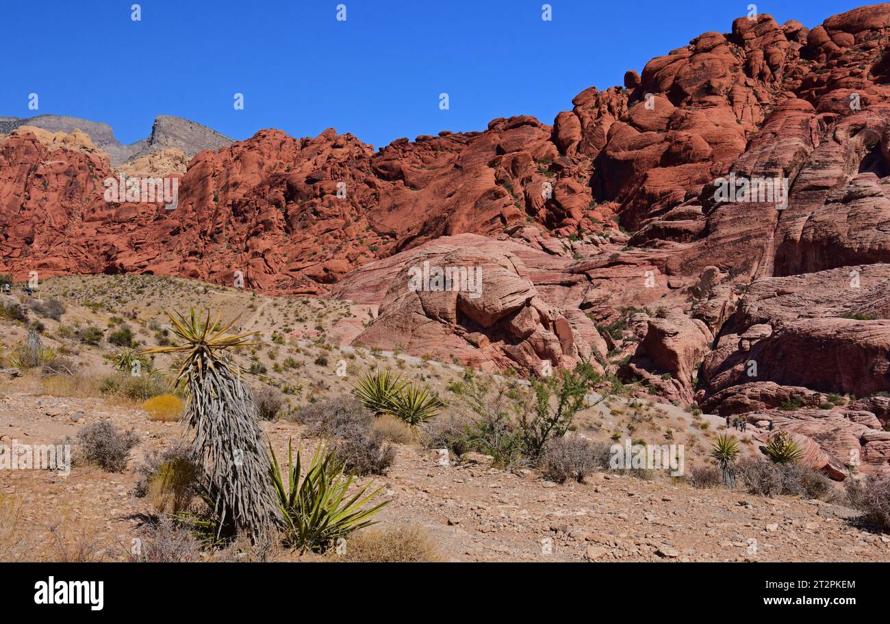 the colorful, eroded rocks of red rock national conservation area and ...