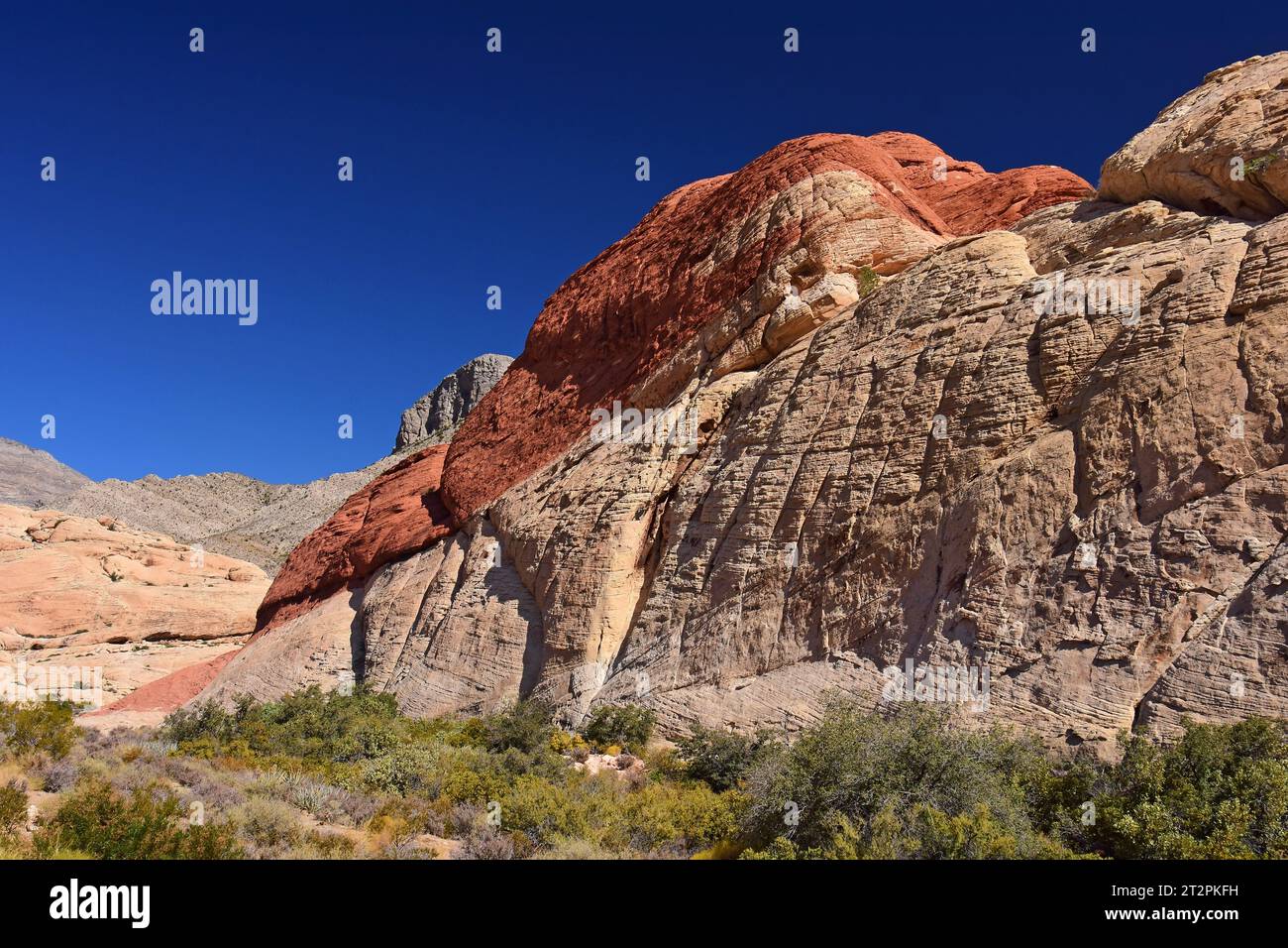 the colorful, eroded rocks of red rock national conservation area on a ...