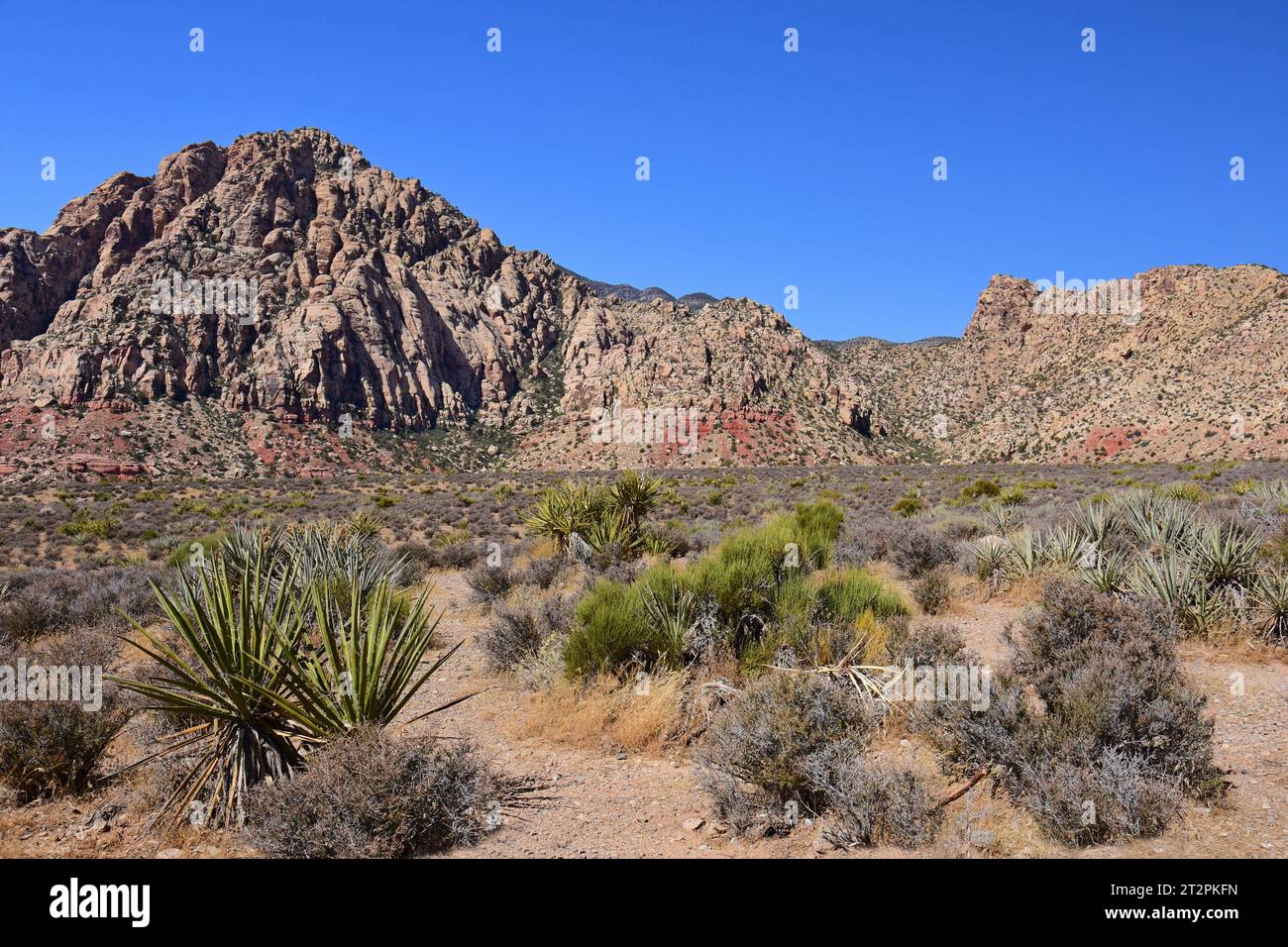 the colorful, eroded rocks of red rock national conservation area on a ...