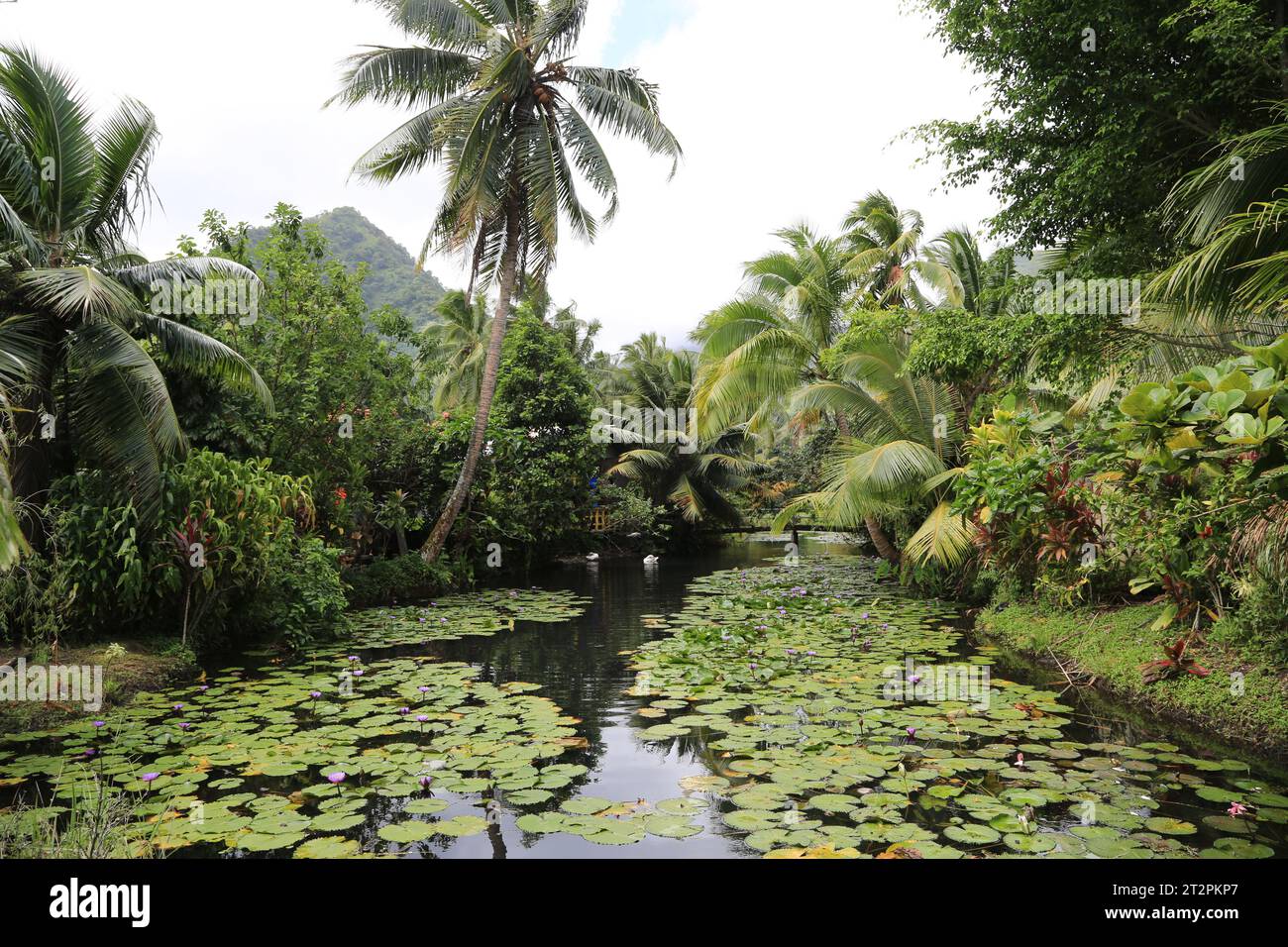 Teahupo'o village and surf spot world famous for its widest and ...