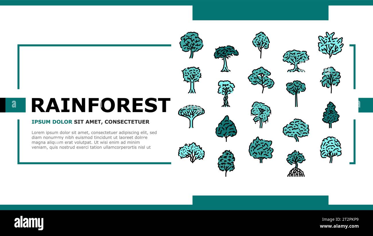 rainforest jungle amazon nature landing header vector Stock Vector ...