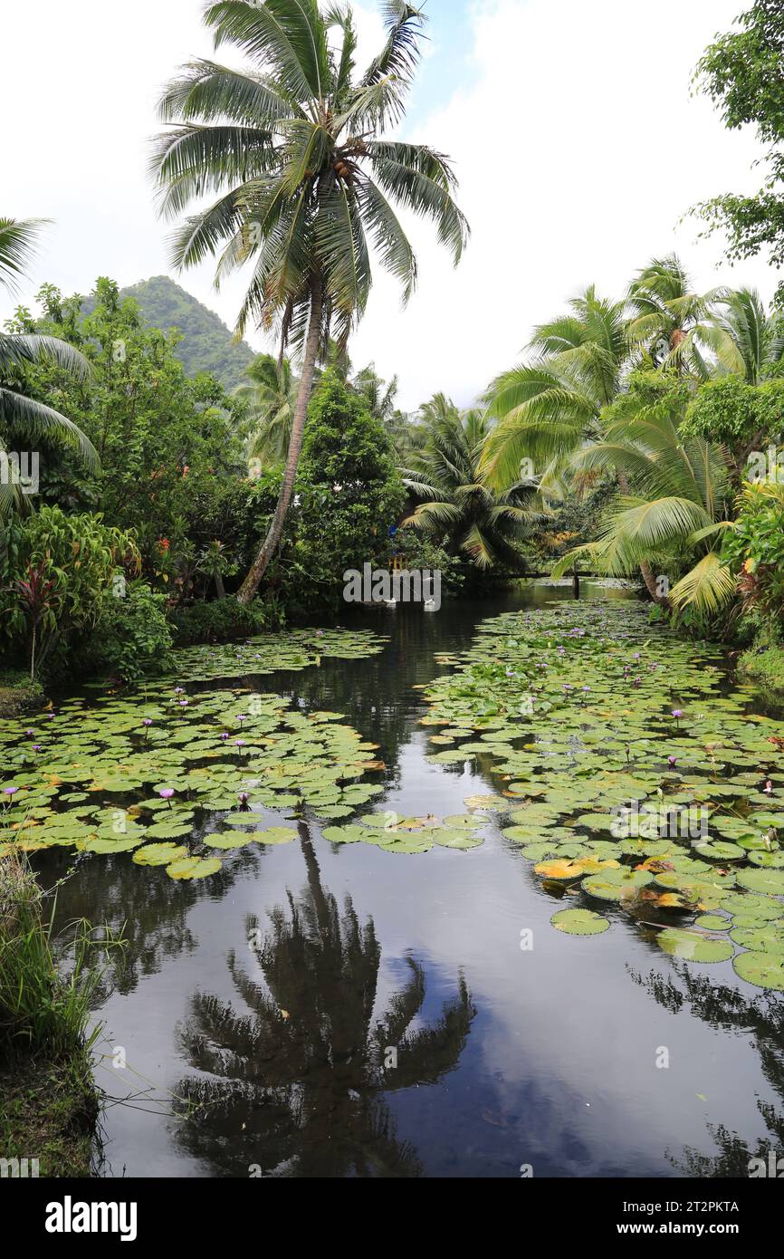 Teahupo'o village and surf spot world famous for its widest and ...