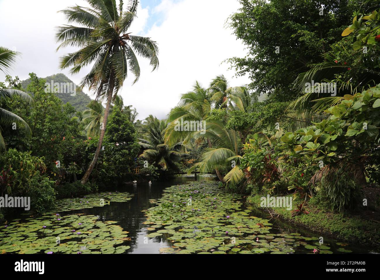 Teahupo'o village and surf spot world famous for its widest and ...