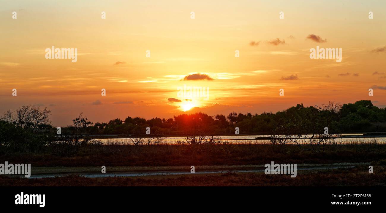 Alva beach hi-res stock photography and images - Alamy