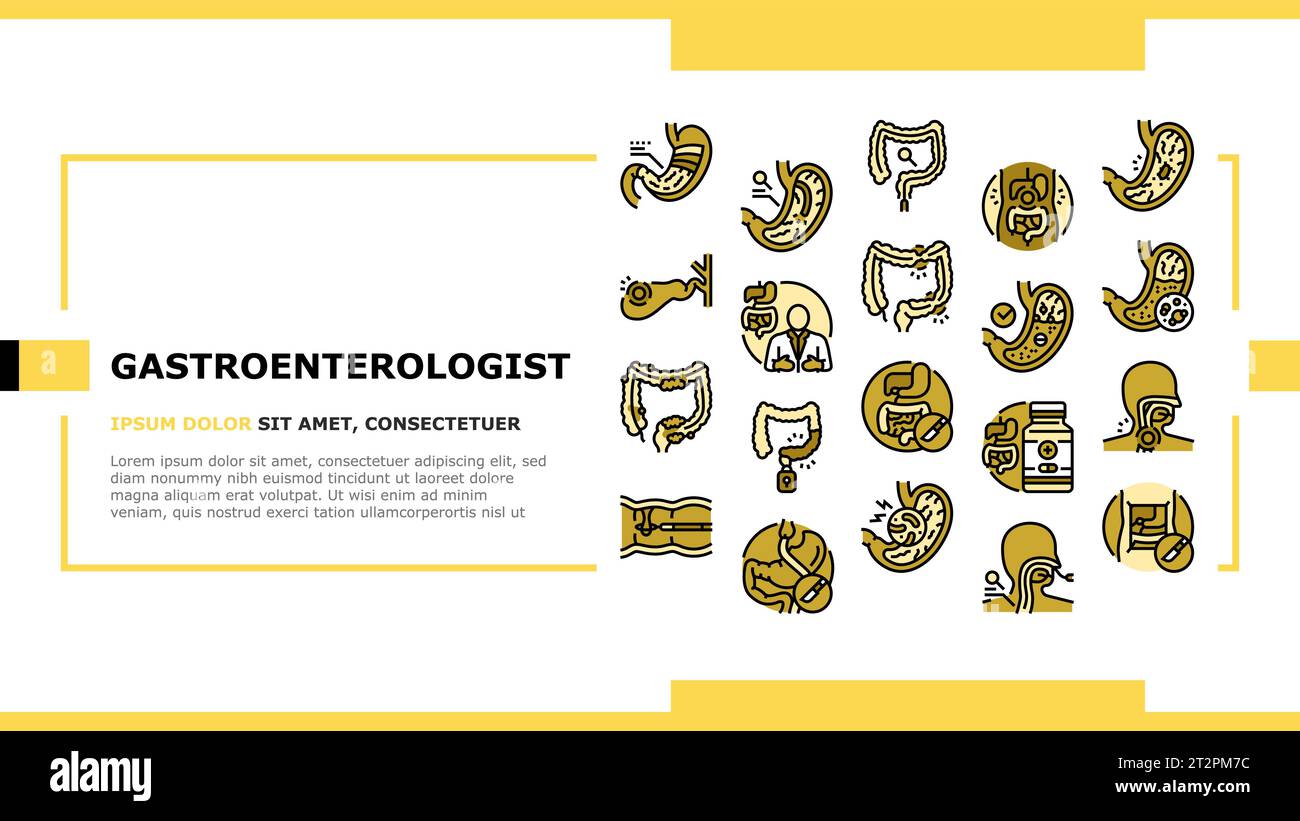 gastroenterologist doctor stomach landing header vector Stock Vector ...