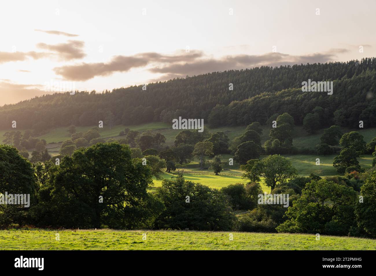 Cumbria landscape painting hi-res stock photography and images - Alamy