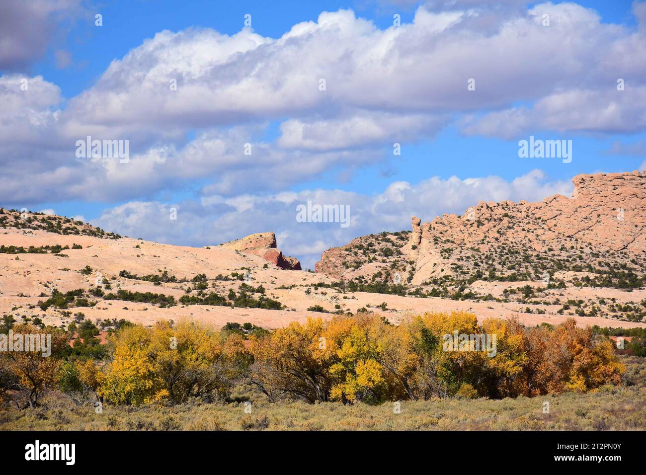 changing cottowood trees and eroded rock formations on sunny fall day ...