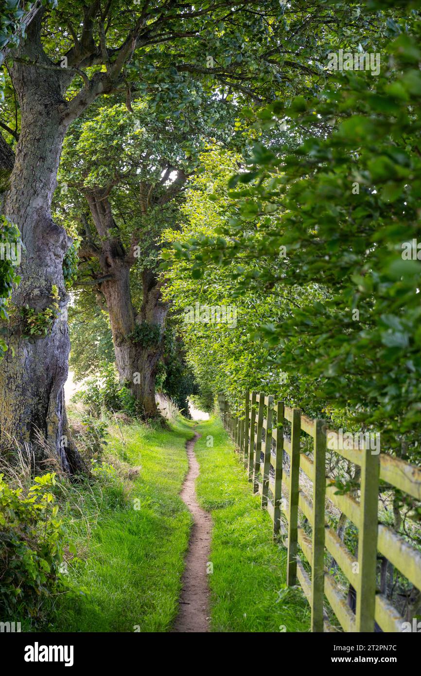 path running though a farm boundary near Halton, Northumberland, UK ...