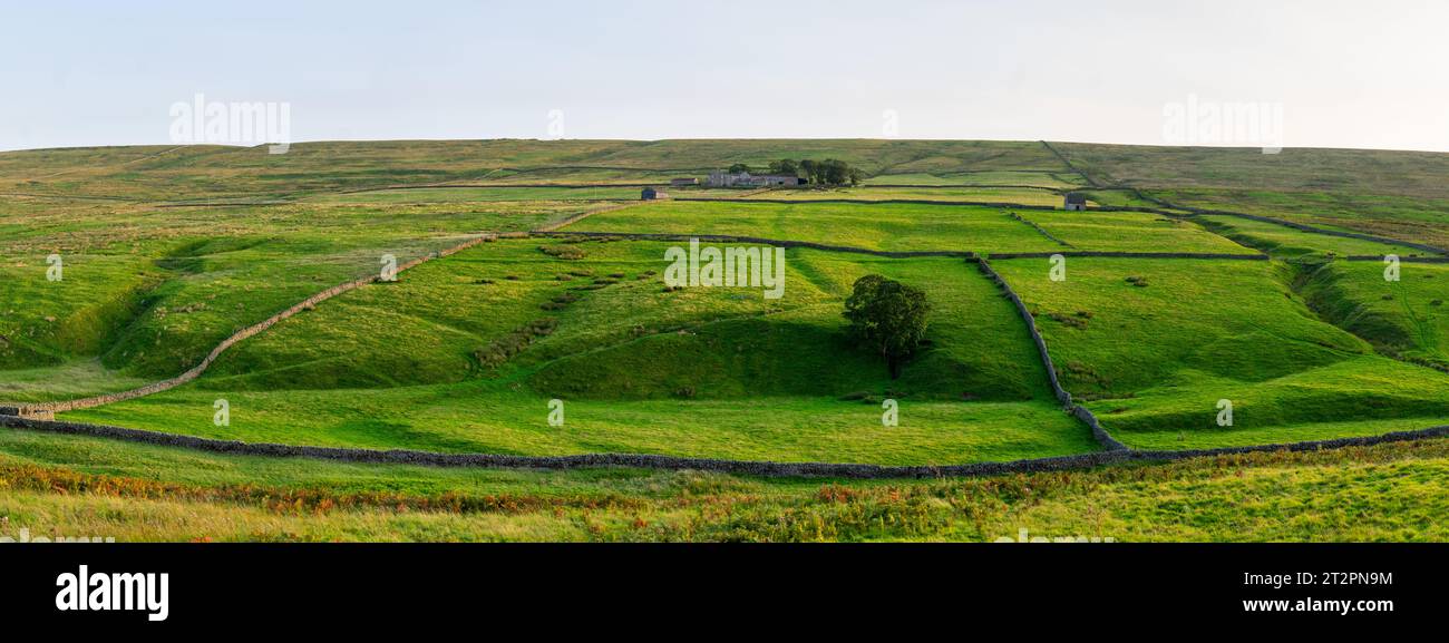 panoramic view looking out over walled pastures in the North Pennines ...