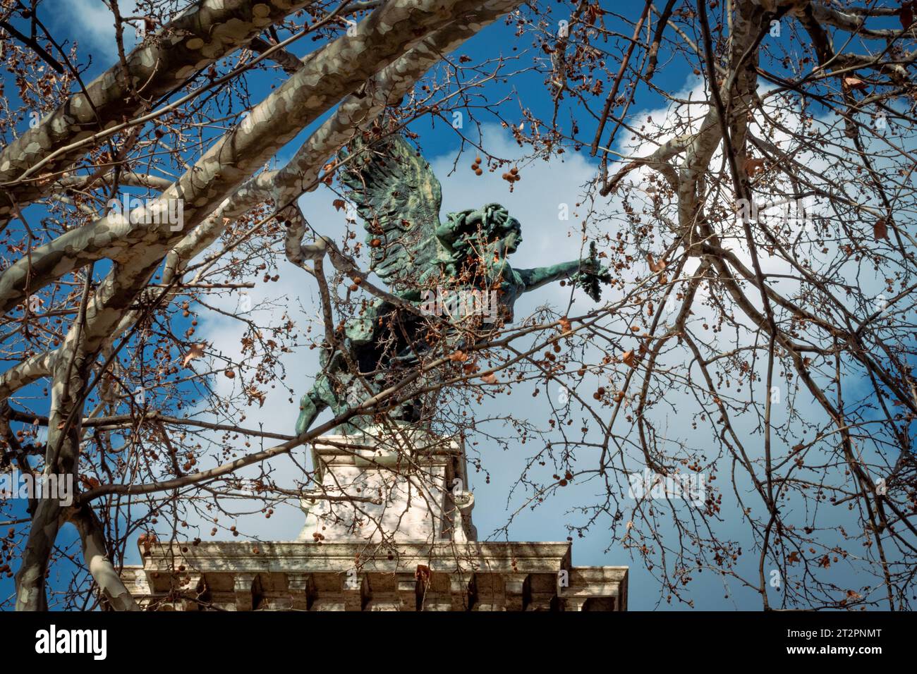 Old roman Statue and tree without leaves Stock Photo - Alamy