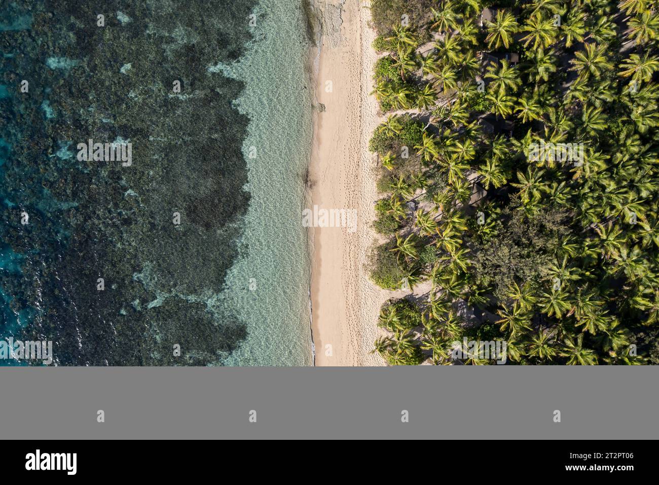 Drawaqa fiji hi-res stock photography and images - Alamy