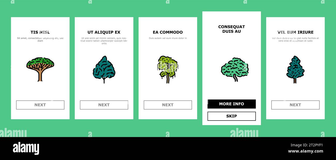 rainforest jungle amazon nature onboarding icons set vector Stock ...