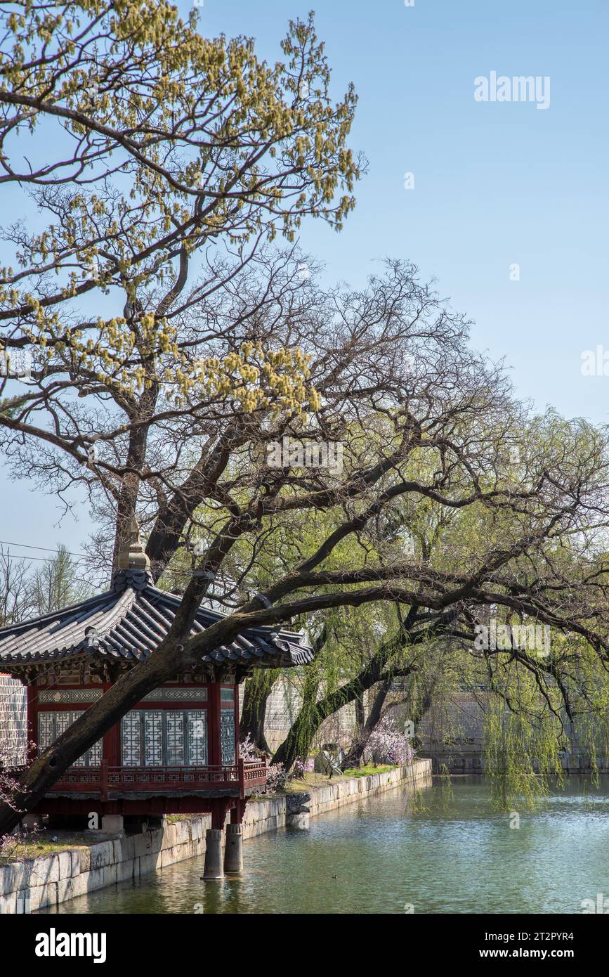 Gyeongbok palace in Seoul, South Korea Stock Photo - Alamy