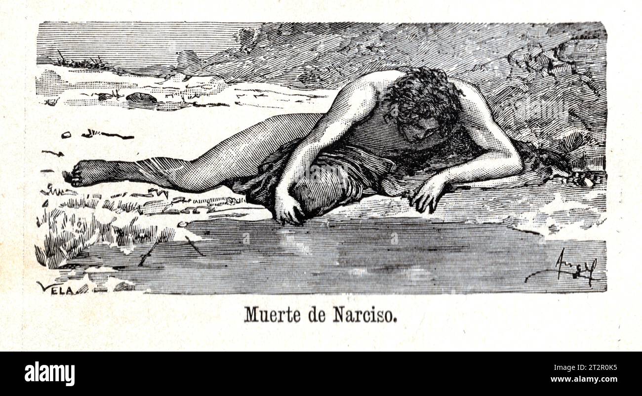 Muerte de Narciso by Manuel Ángel Álvarez (1855-1921) Illustrations ...