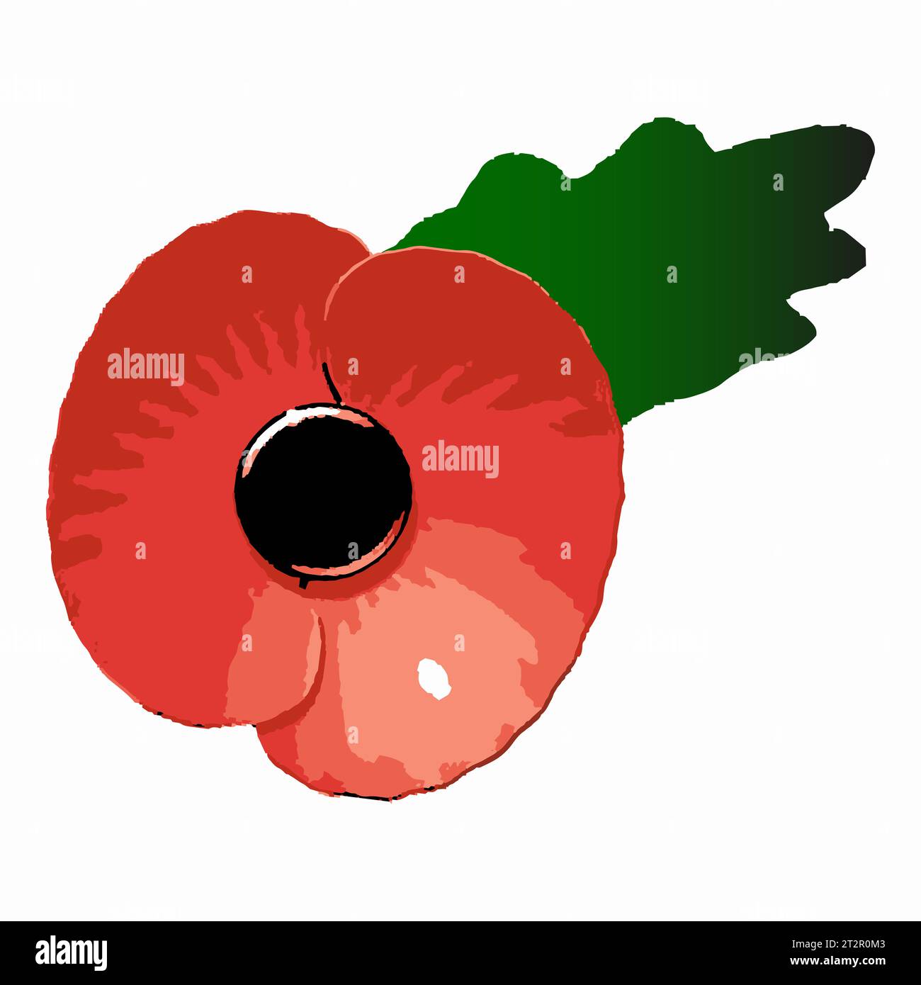 Typical red Remembrance Poppy with leaf over a white background Stock ...