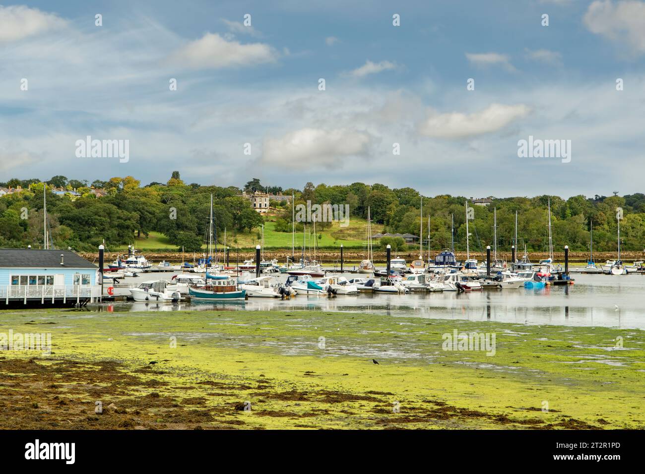 Bembridge harbour hi-res stock photography and images - Alamy