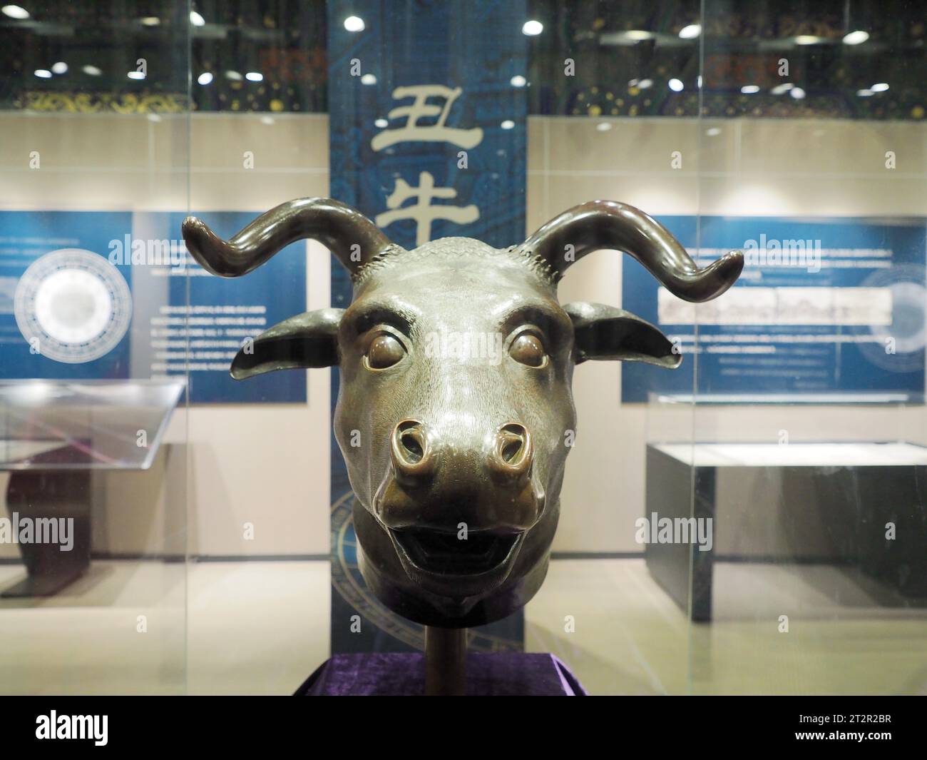 BEIJING, CHINA - OCTOBER 21, 2023 - A bull head on display at a special ...