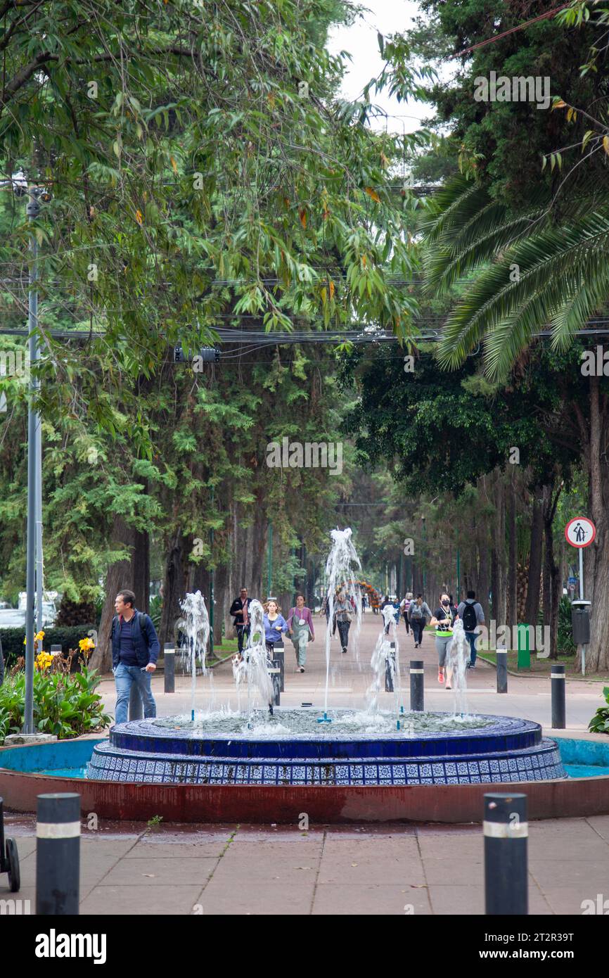 Central Reservation Walkway of Ave Horation in Polanco neighbourhood ...