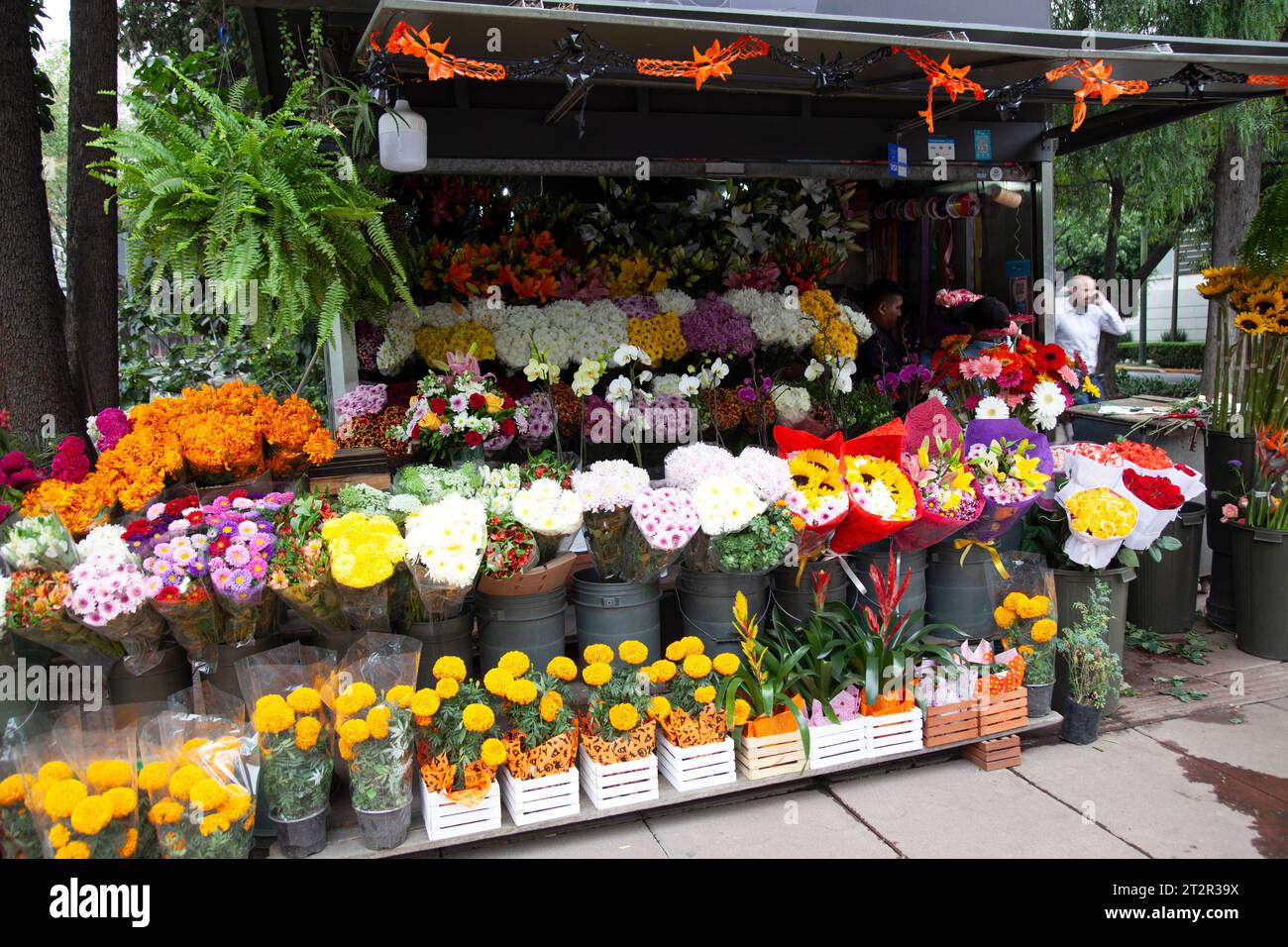 Flower Stall on Ave Horatio in Polanco, Mexico City, Mexico Stock Photo ...