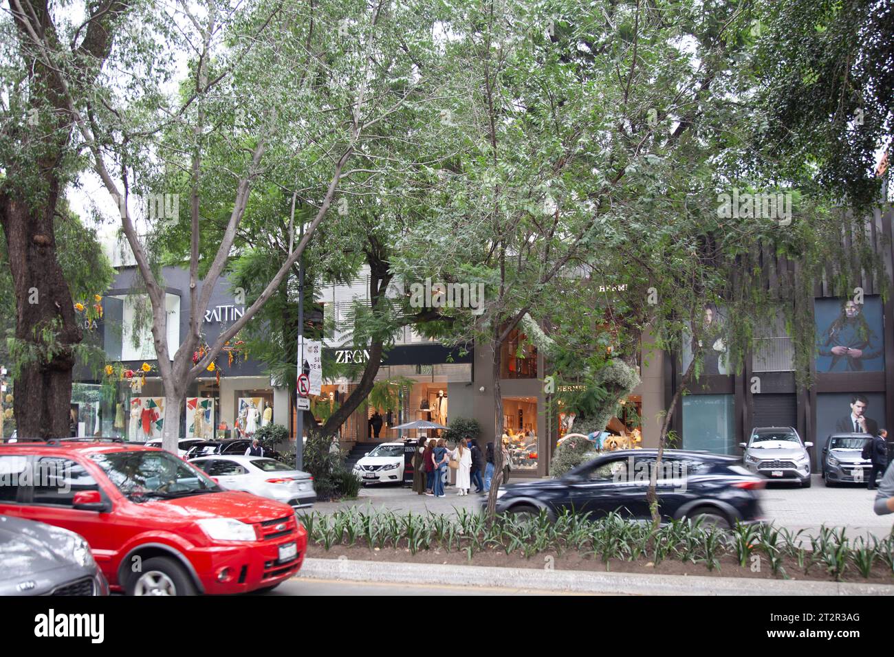 Avenida Presidente Masaryk in Polanco Neighbourhood in Mexico City ...