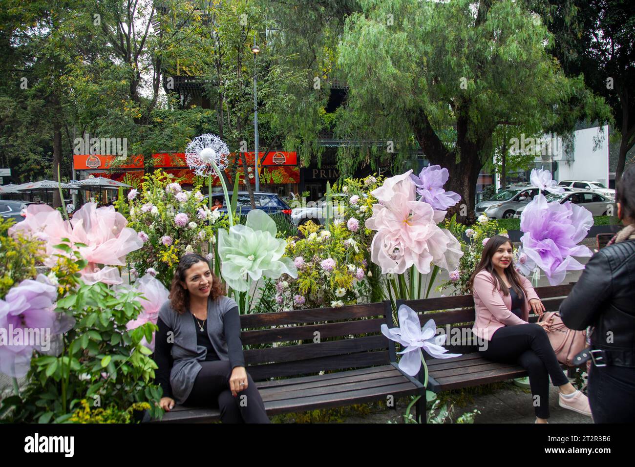 Avenida Presidente Masaryk during Festival de Flores (Day of the Dead ...