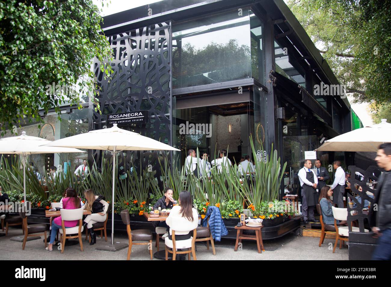 Rosanegra Restaurant on Avenida Presidente Masaryk in Polanco ...