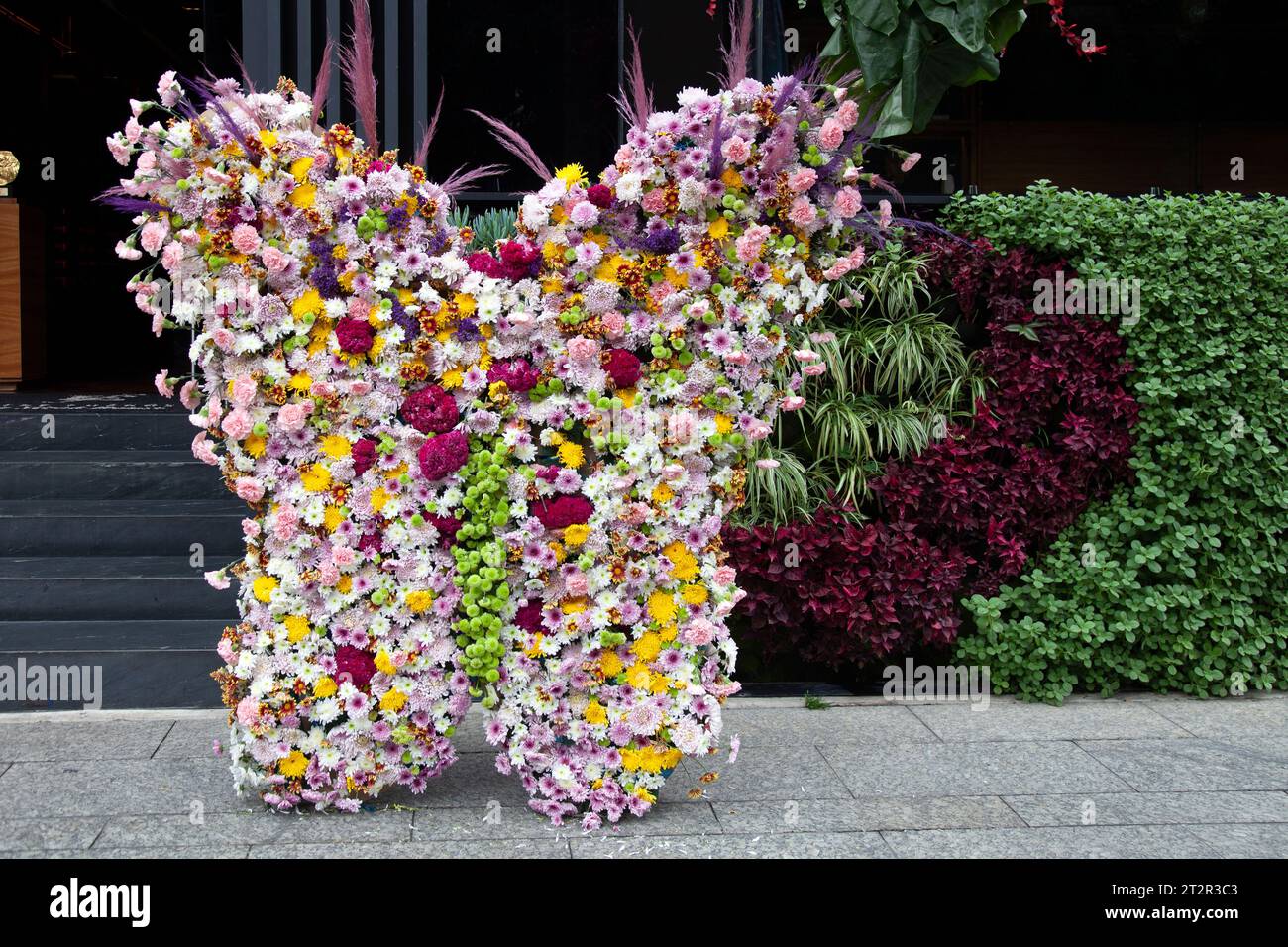 Flowers on Avenida Presidente Masaryk during Festival de Flores (Day of ...