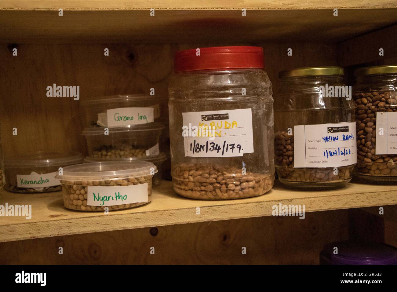 Containers with indigenous seed varieties are seen stored at a Seed ...