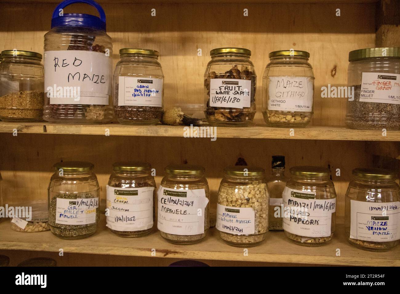 Containers with indigenous seed varieties are seen stored at a Seed ...