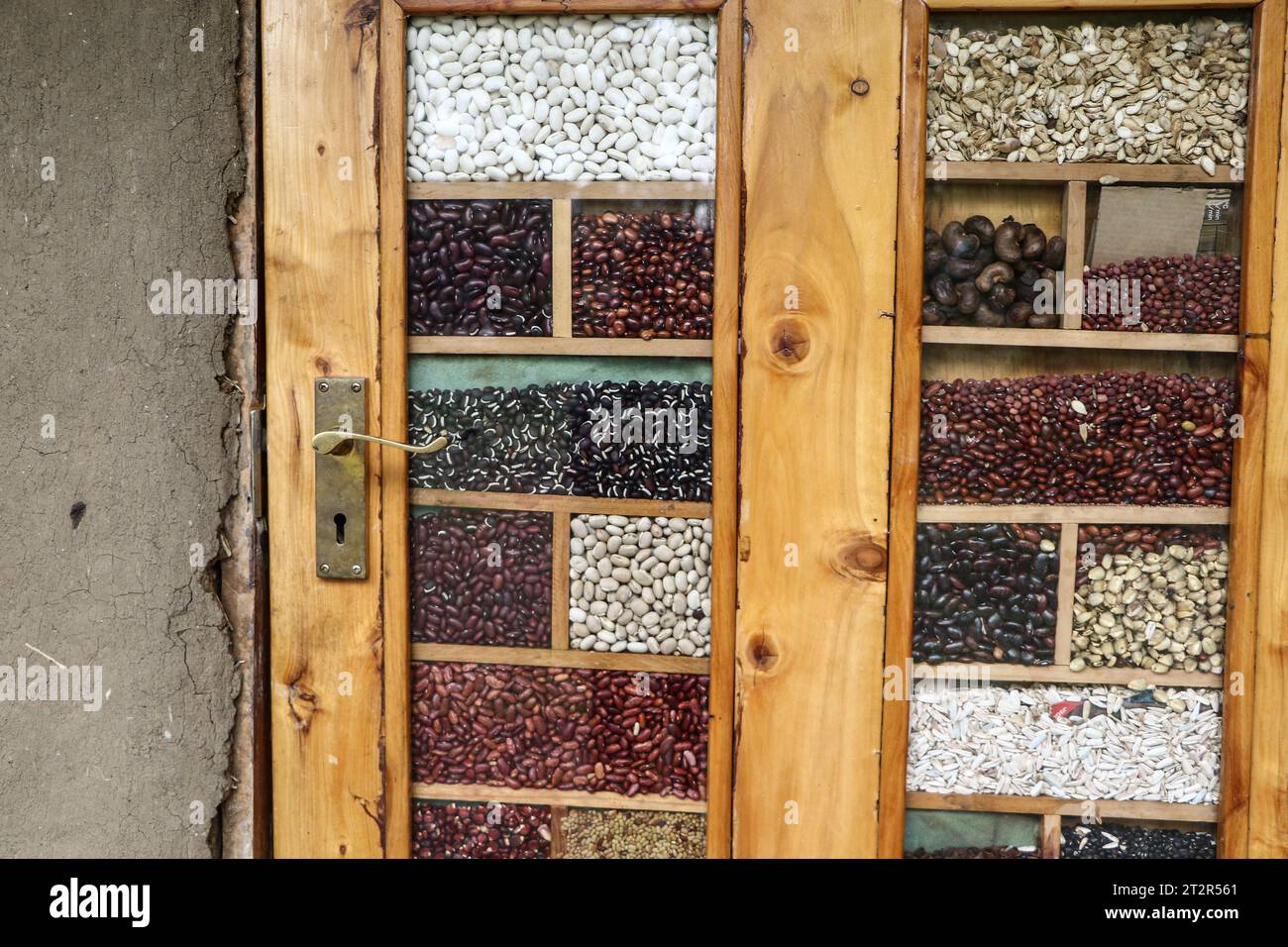 A door with compartments filled with indigenous seed varieties is seen ...
