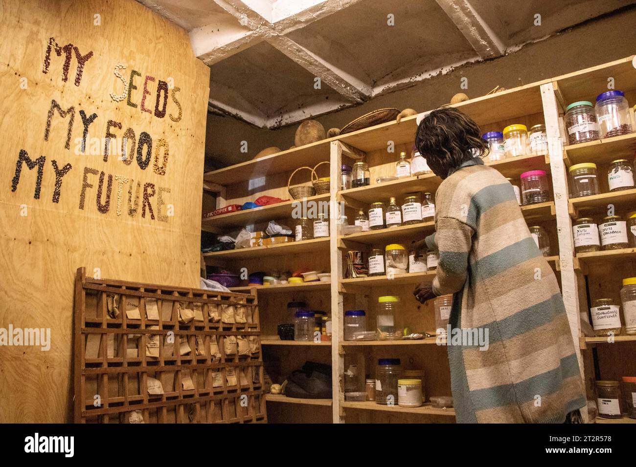 A woman views indigenous seed varieties displayed at a Seed Savers ...